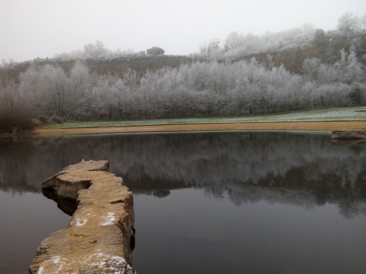 Roche Ballue en images | Ville de Bouguenais